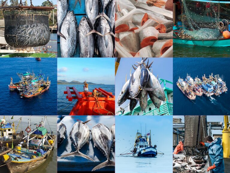 SAFET releases report on key technologies for sustainable fisheries ...